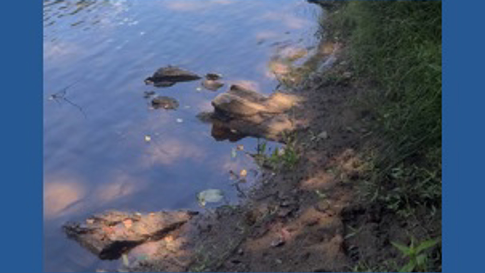 Statewide drought worsens impacting local kayak business on Dan River
