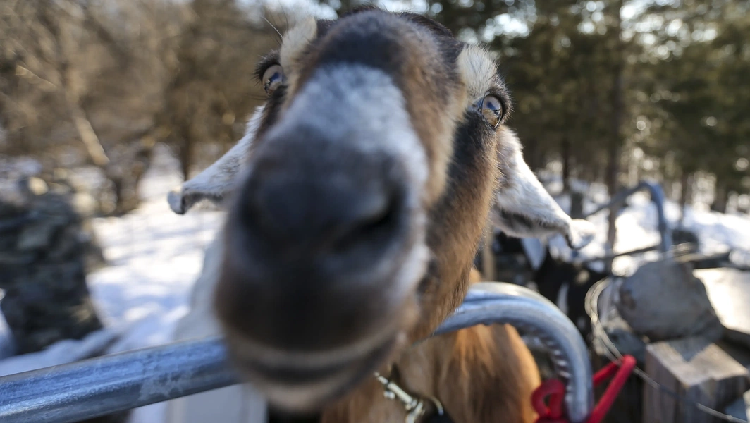 17 uniquely quirky small towns across America
