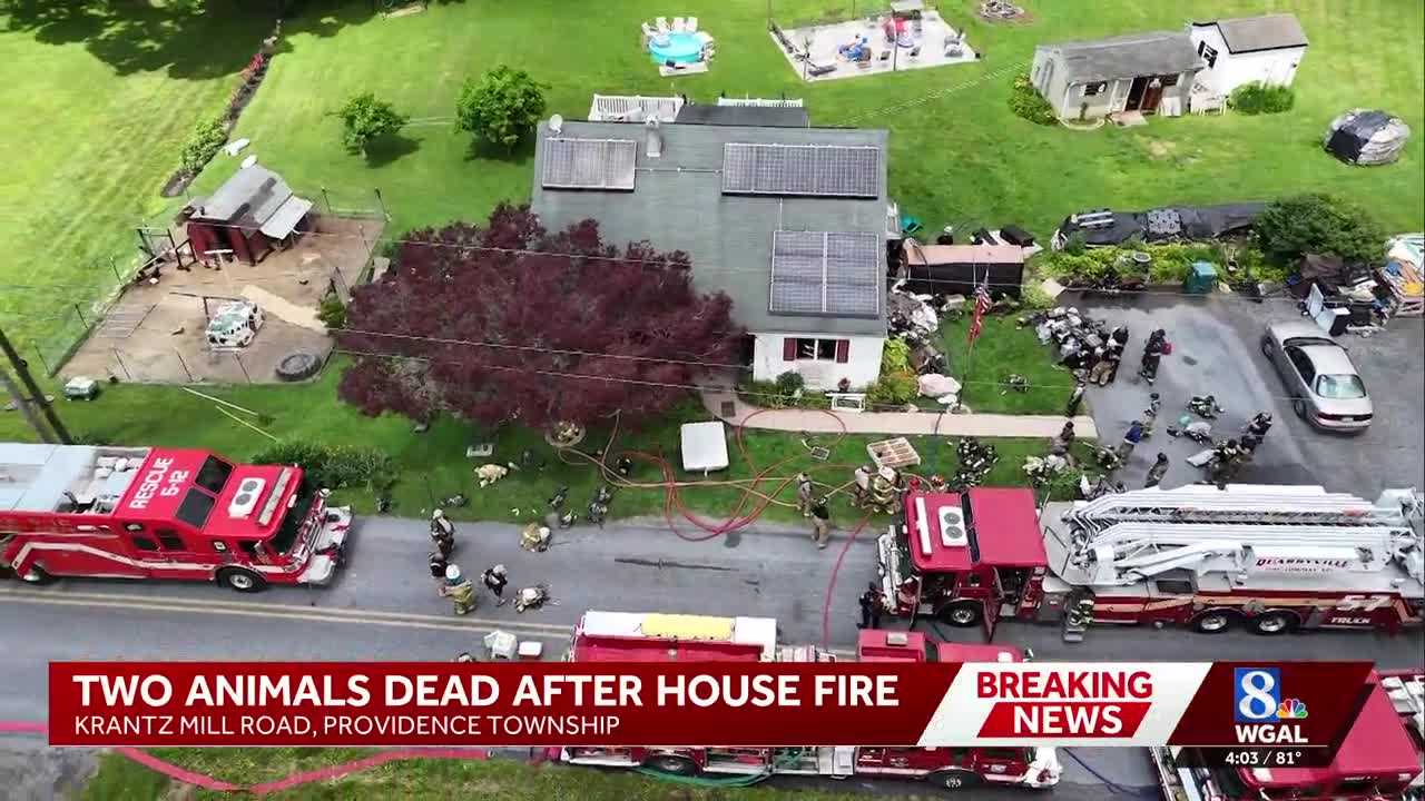 House fire in Lancaster County kills 2 animals | No other injuries reported
