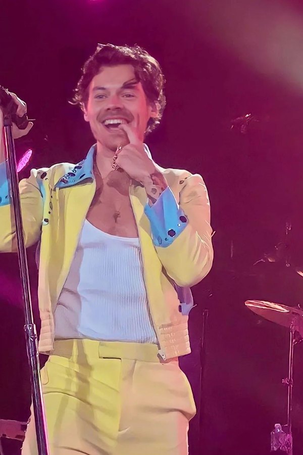Harry Styles wows celebrity fans during first Love on Tour Sydney ...