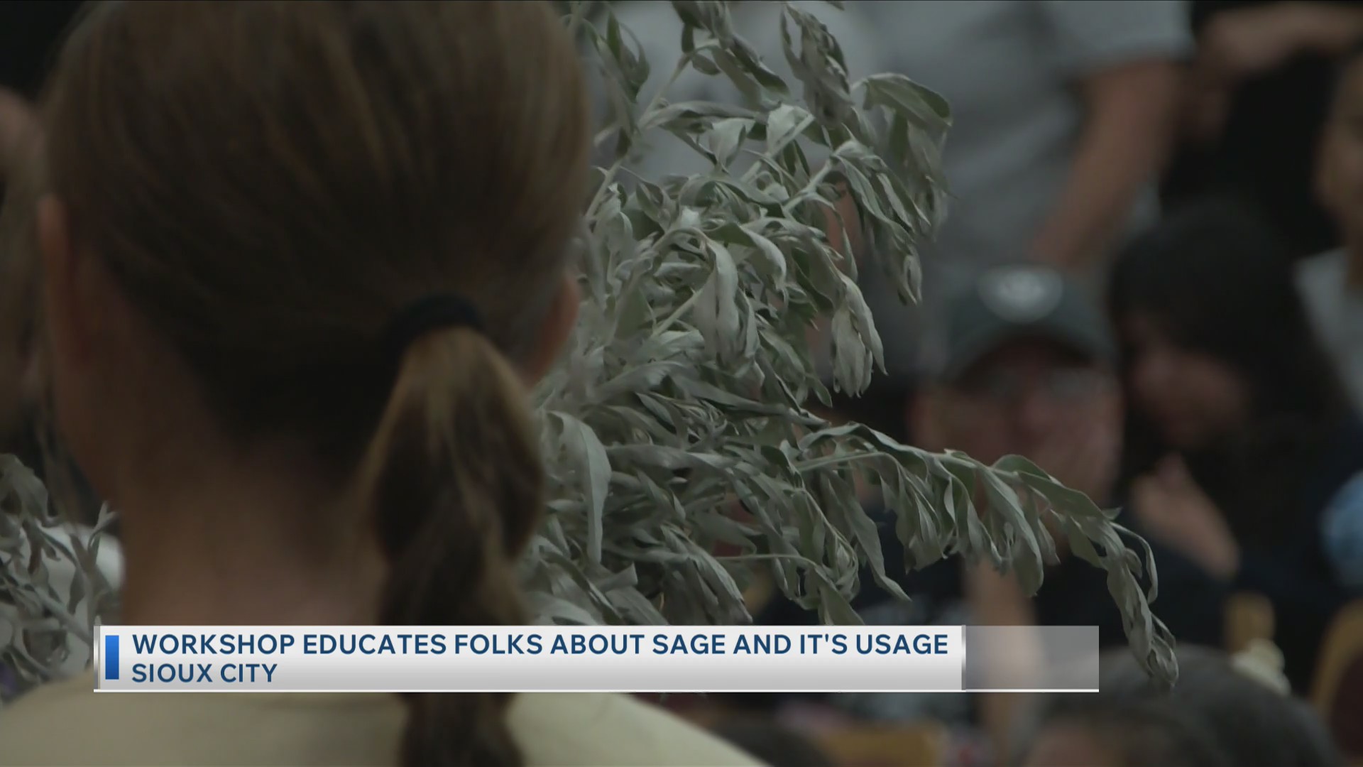 Native American culture highlighted in sage workshop
