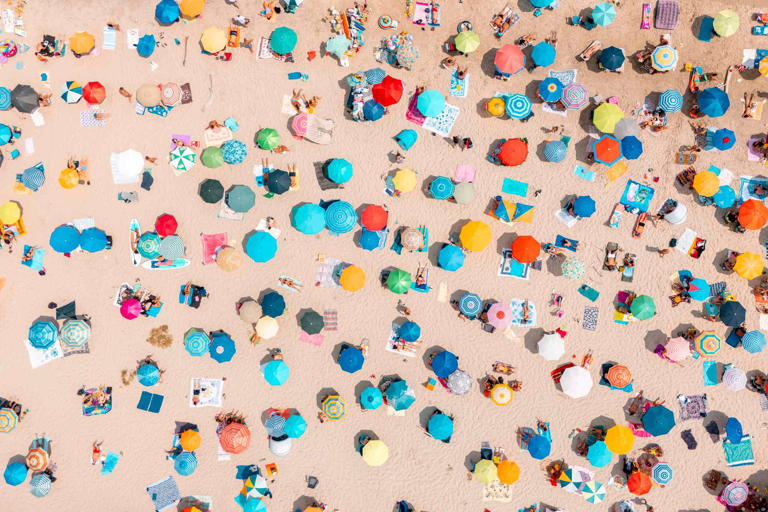 Beaches in NJ under swimming advisories for high fecal bacteria levels