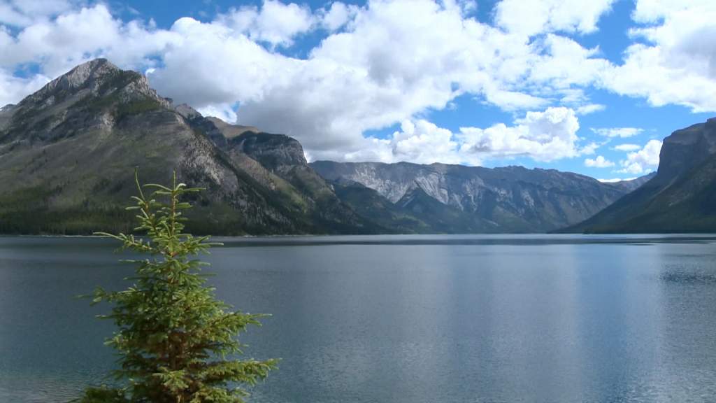 Large area in Banff National Park closed after bear seeking food ...