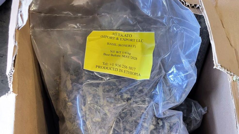 CBP seizes 139 pounds of illegal khat hidden in spice shipment at ...