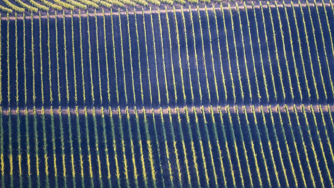 15 small towns with renowned wine traditions