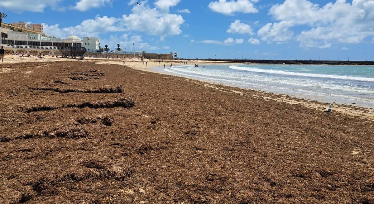 La costa andaluza, en estado de extrema necesidad y fuerza mayor por el ...