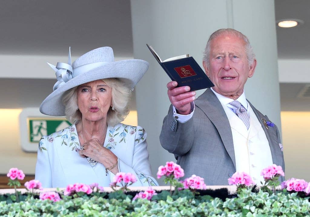 Queen Camilla leaves fans giggling with 3-word carriage comment at Ascot