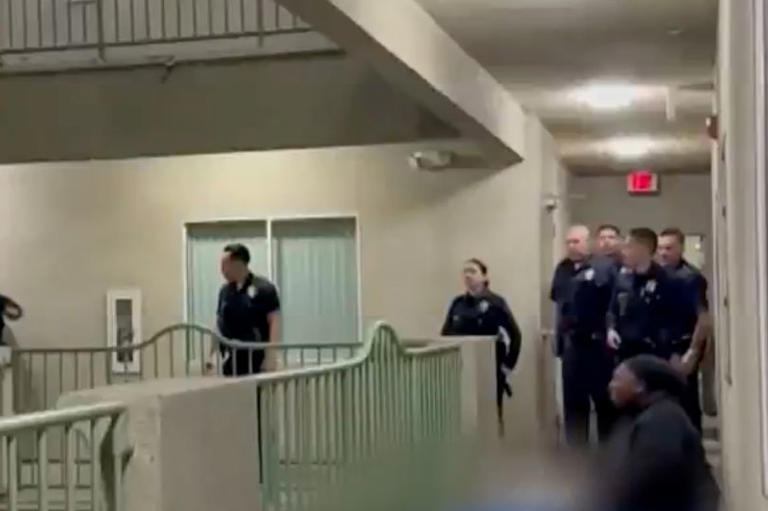 Dog in Knicks jersey shot and killed by LAPD raises staggering $160,000