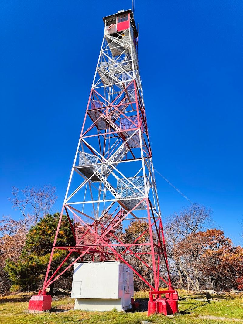 The remote tower rising above New Jersey’s wilderness with jaw-dropping ...