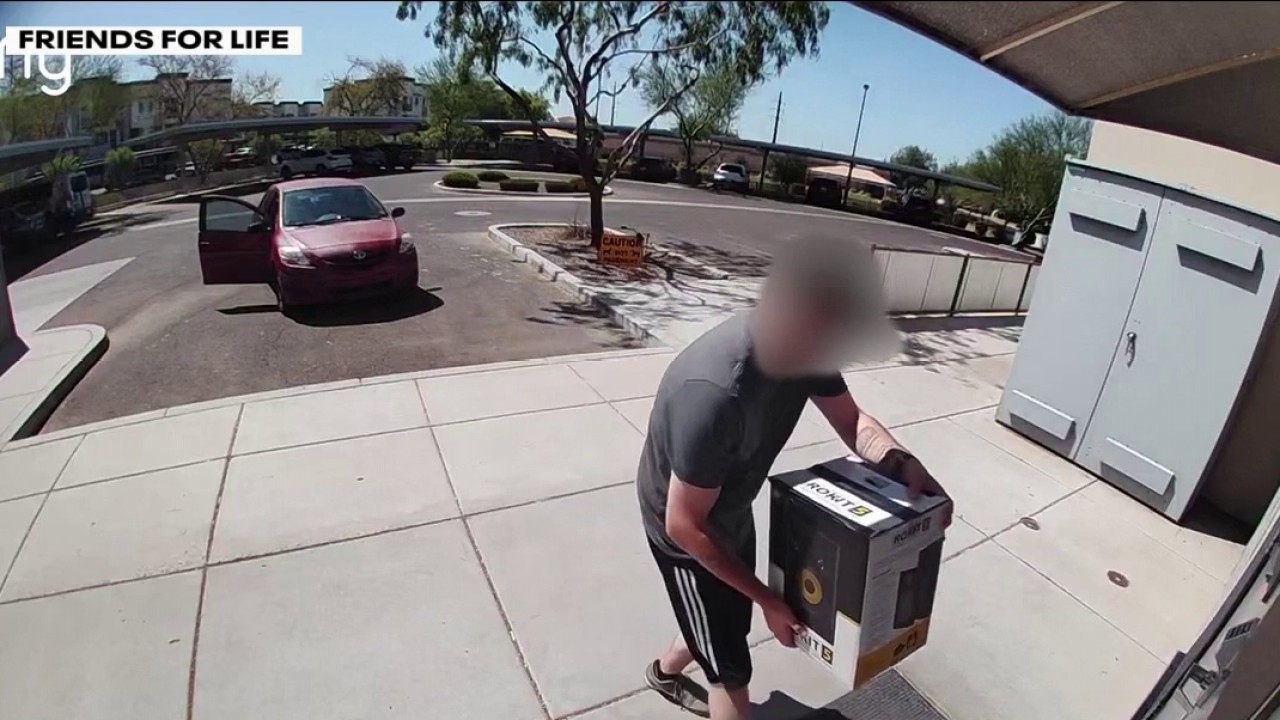 Cats abandoned in taped box at Gilbert animal shelter during extreme heat