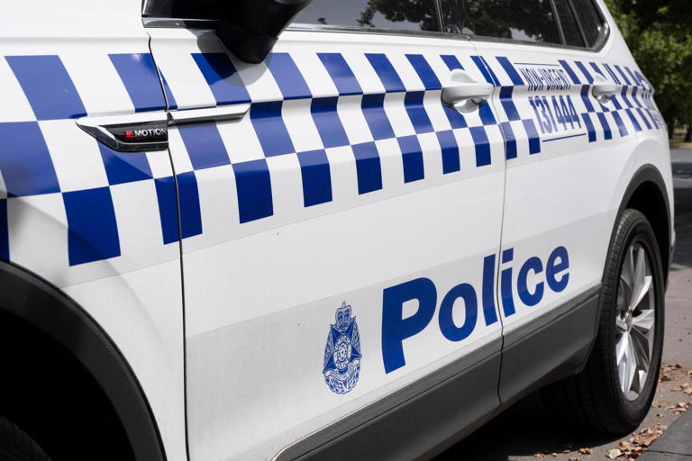 Police dismantle HSV rebirthing scheme