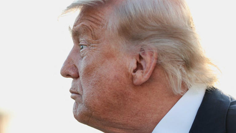 DC insider predicts 'fat and unhealthy' Trump is abandoning the presidency