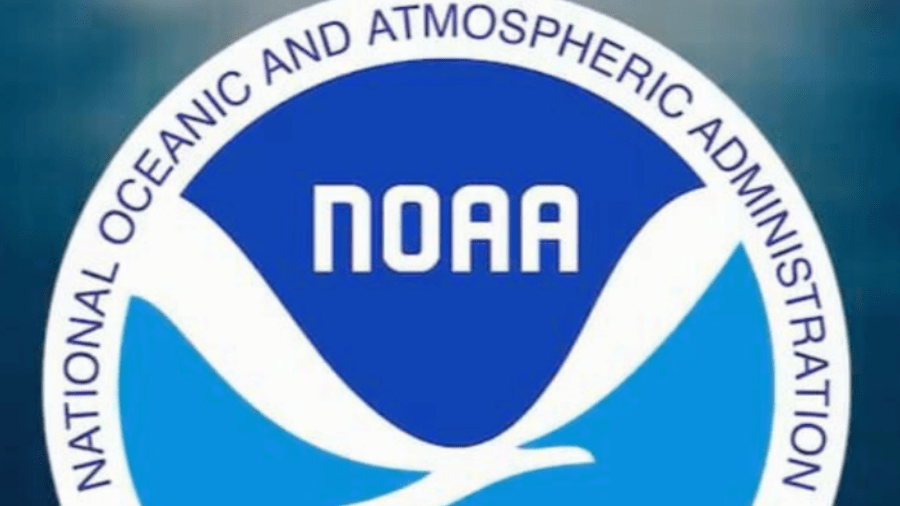 NOAA reduces catch limits for Gulf grouper species