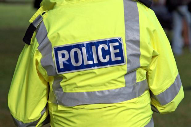 Body discovered in south east London woods during search for missing person