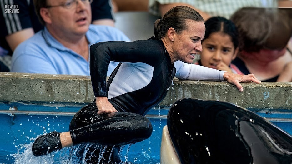 A 5-ton killer whale grabbed her by the hair - then it got worse