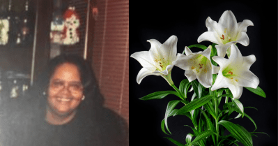 Sharon Yvonne Phifer, 67, of Racine – obituary
