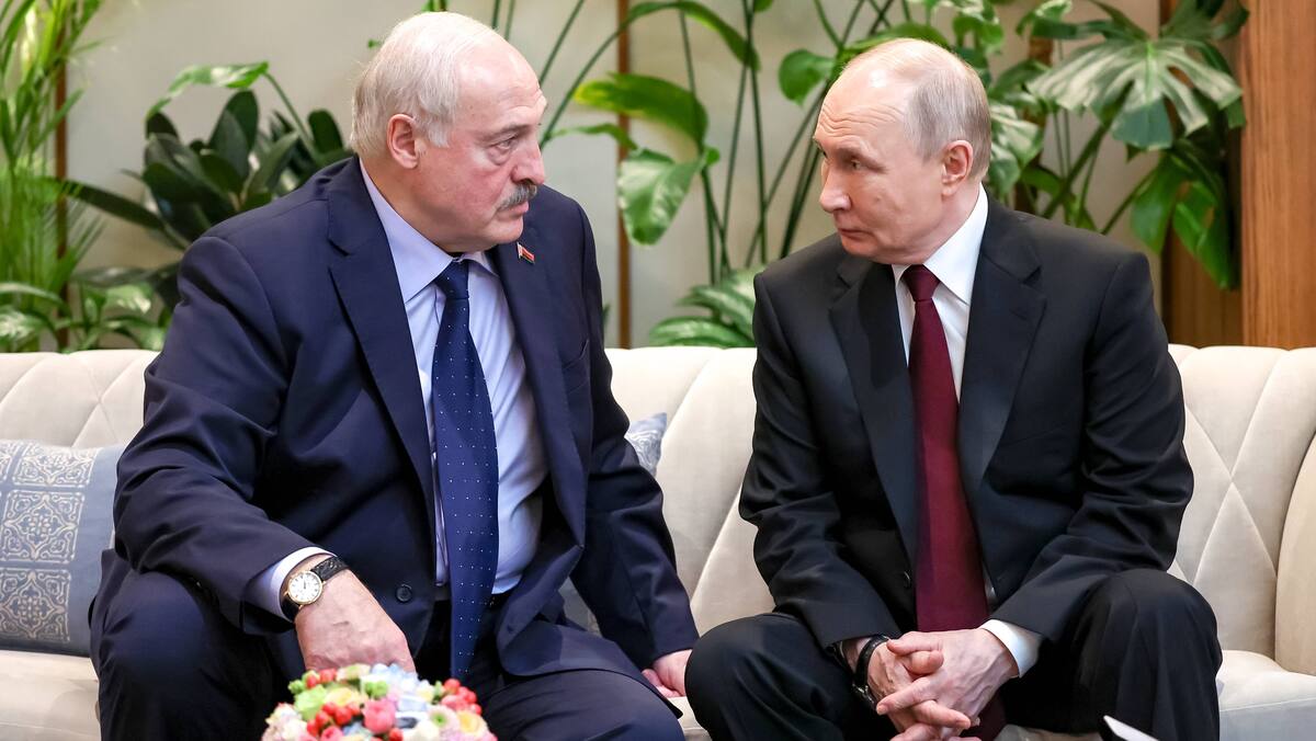 Il s'excuse face à Zelensky : Loukachenko est-il en train de laisser ...