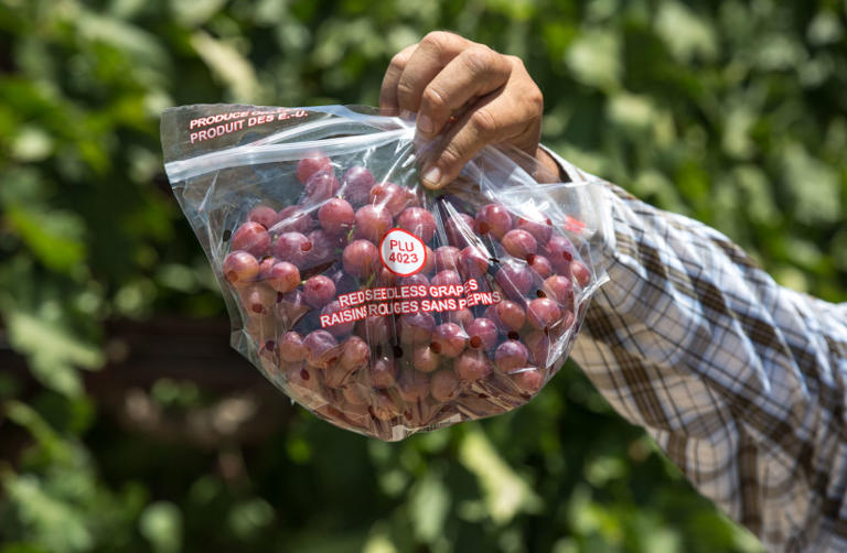 Raisin industry heir Bruce Lion charged in antisemitic harassment case ...