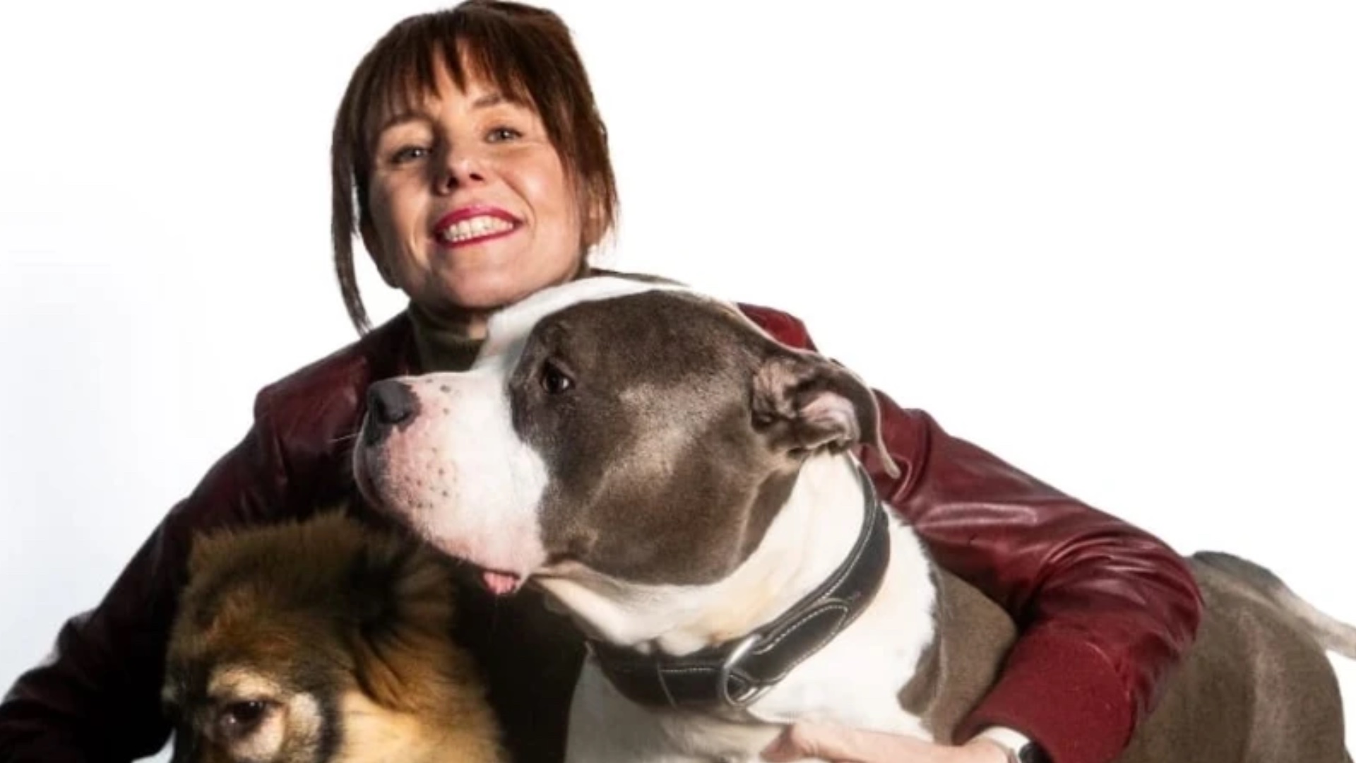 Halesowen dog rescue forced to turn animals away as Mutt Hut struggles
