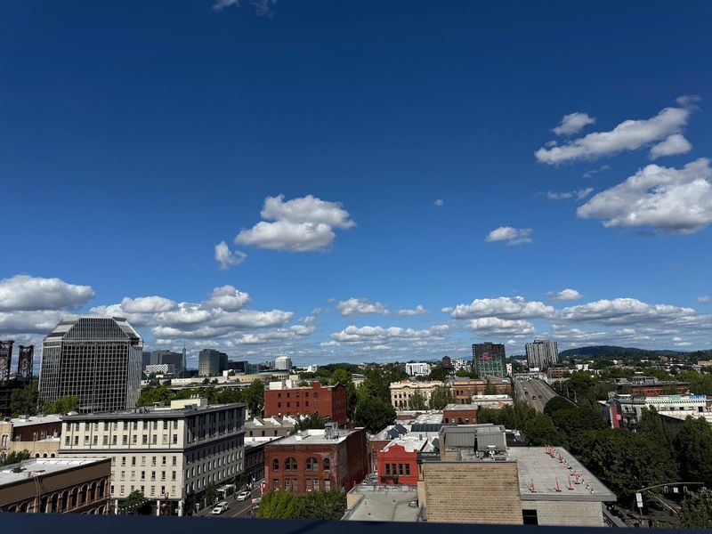 10 Oregon rooftop bars with amazing skyline views