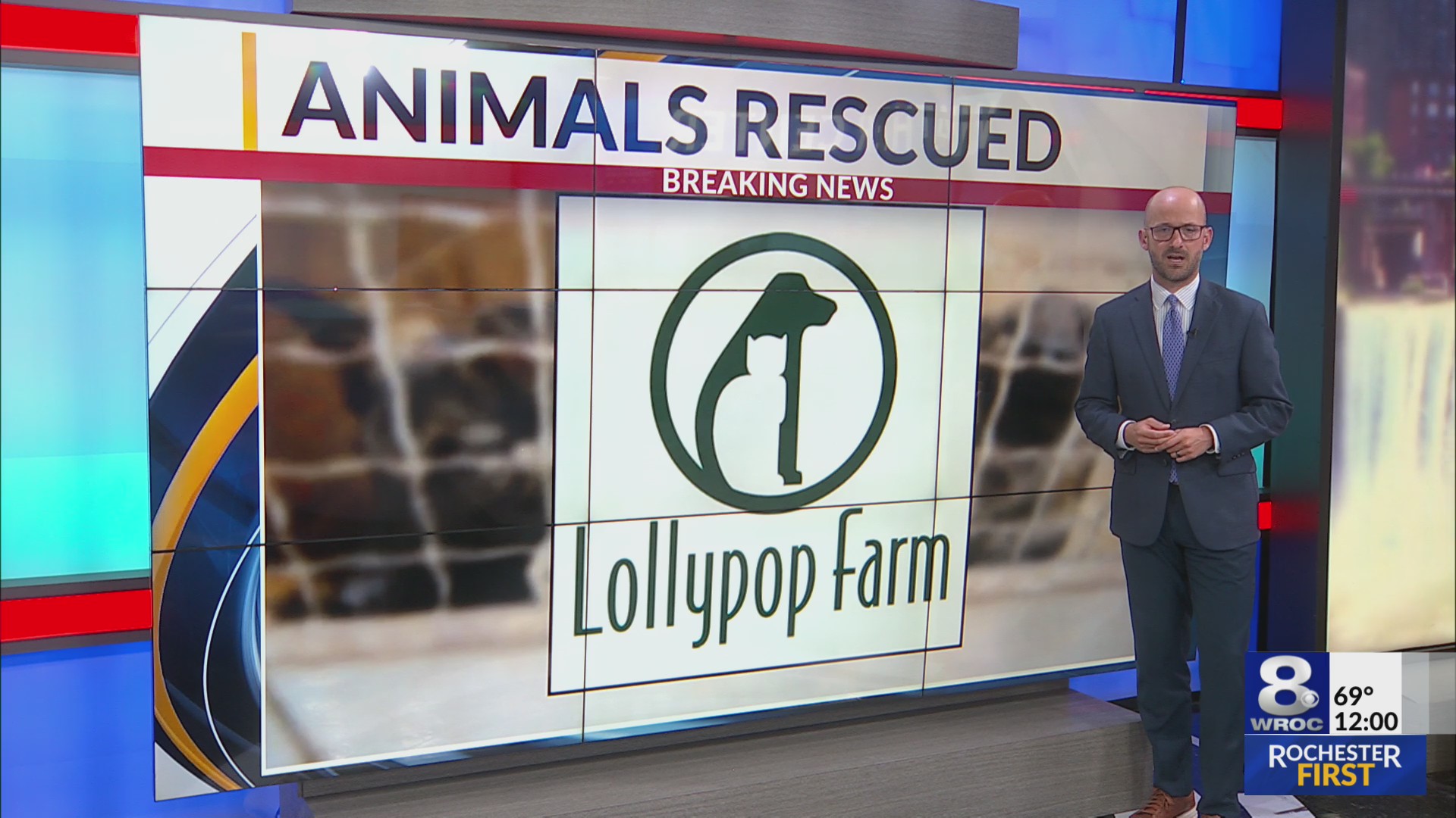 70+ animals seized from Bellmawr Dr. home in Chili