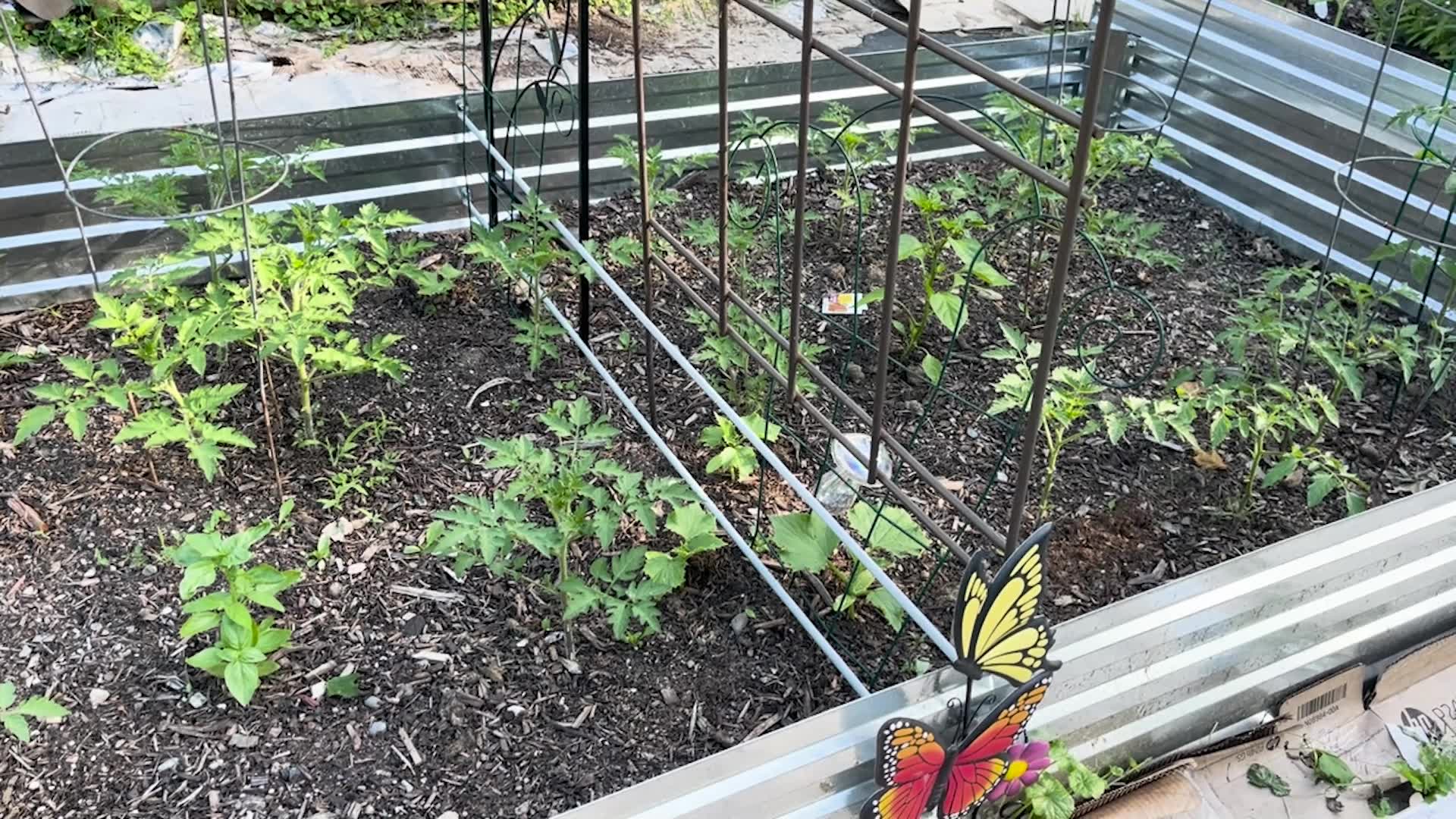 Protecting plants from disease
