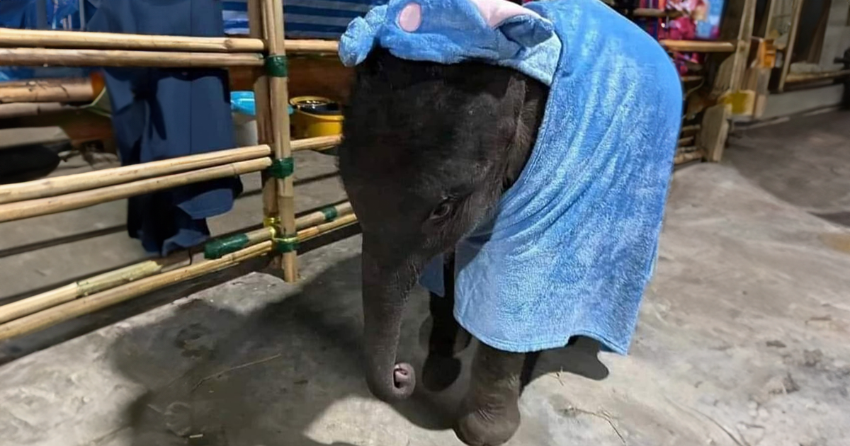 Blessed images: 50 beautiful and funny animal photos shared online
