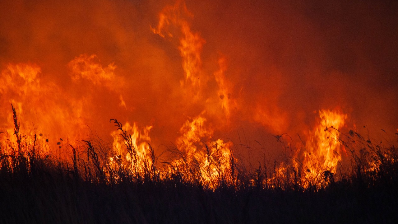 Forecasters warn the 2026 fire season could burn 5.5 to 8 million acres ...