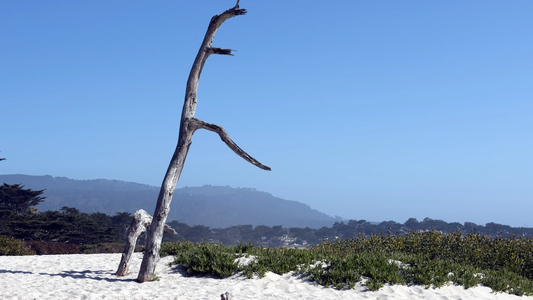 20 charming small towns across California