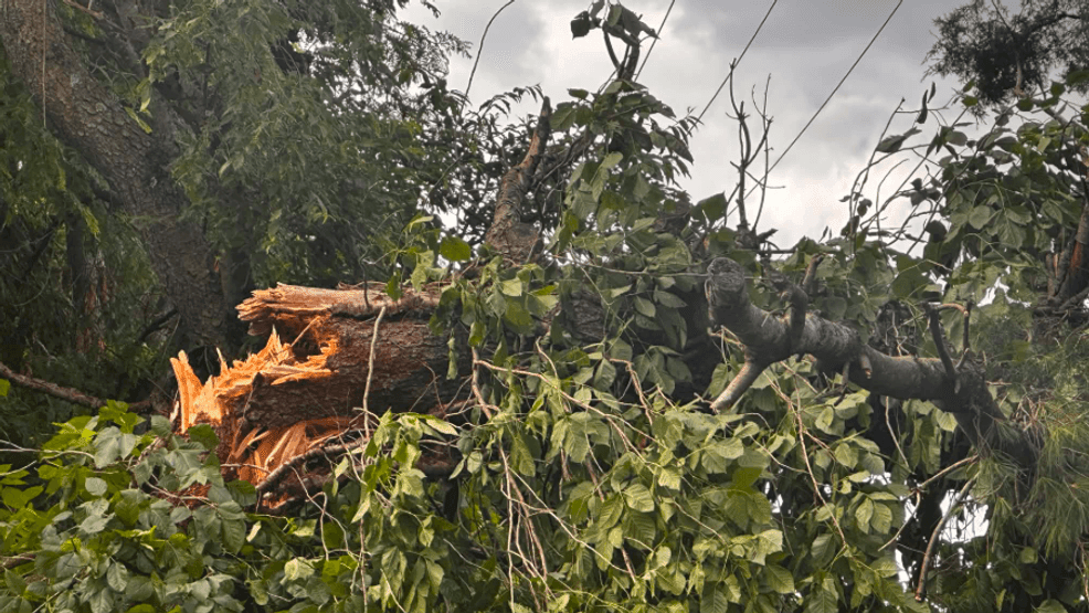Microburst causes storm damage in York County; 80-90 mph winds estimated