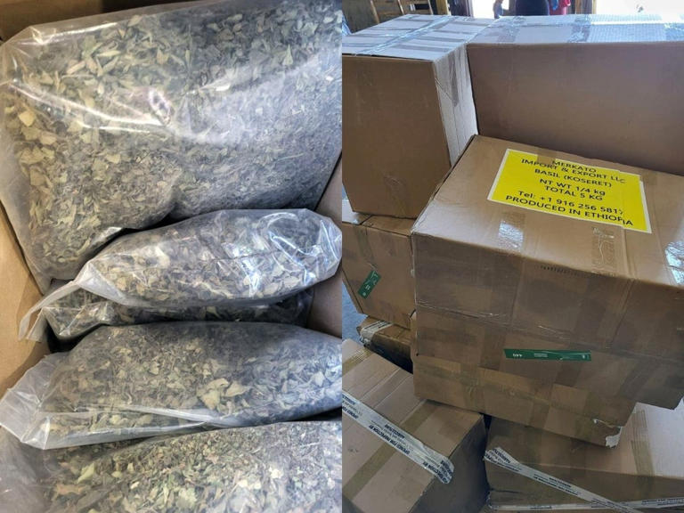 139 pounds of khat seized at Dulles Airport, CBP says