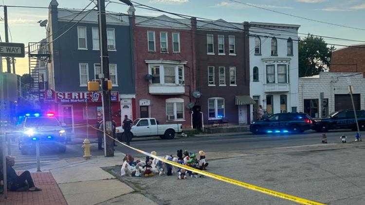 Dog killed, man injured in officer-involved shooting in York