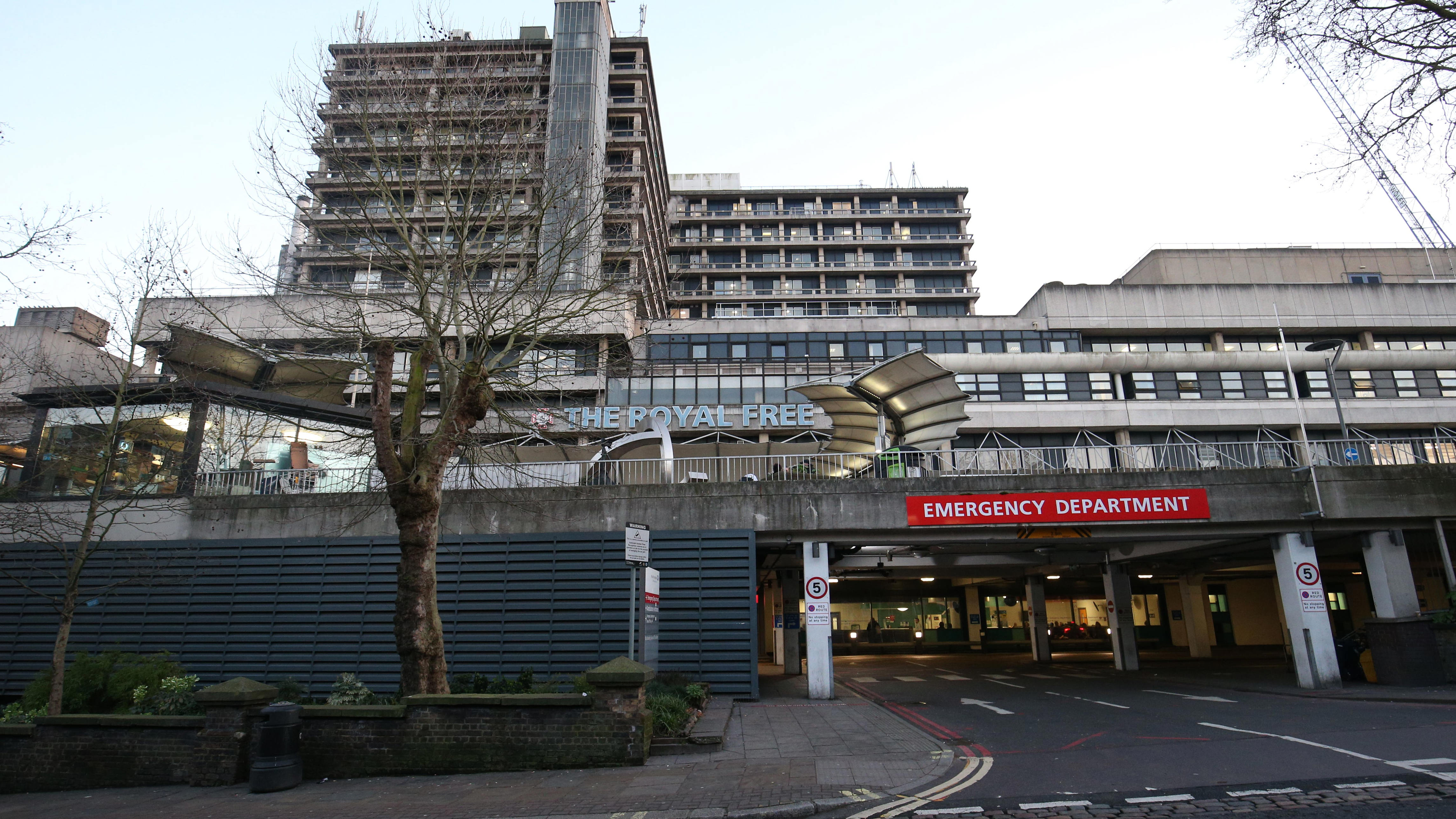 Not entirely unacceptable to call Hamas freedom fighters, doctor tells ...