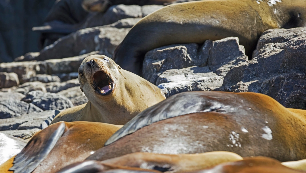 Nature, adventure, and culture in Los Cabos