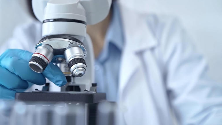 Why is Regentis Biomaterials stock rising on Wednesday?
