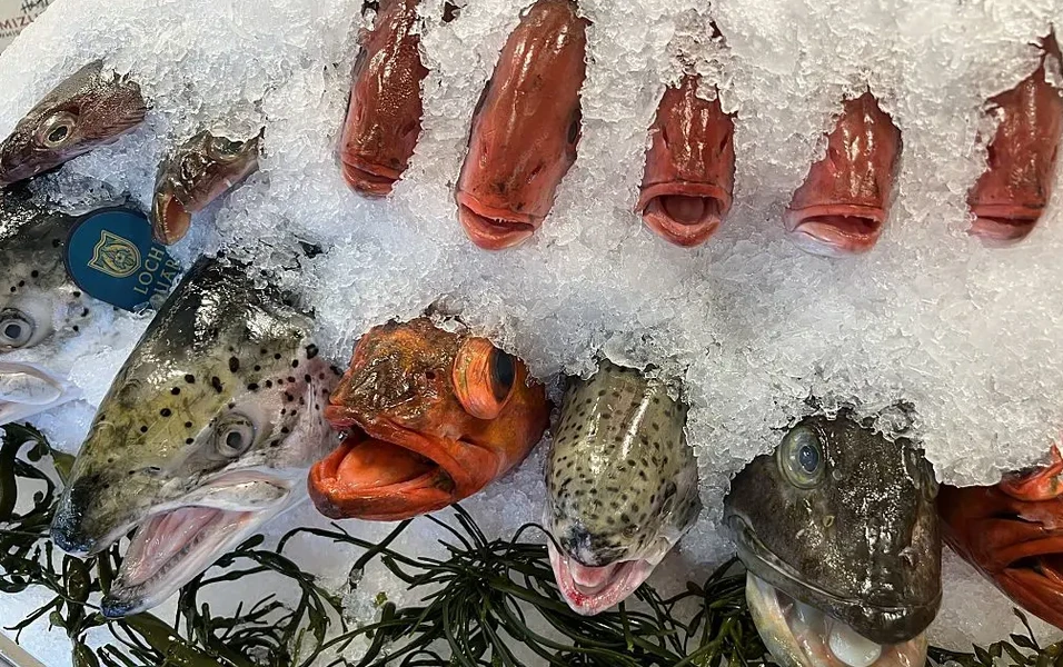 Fishmonger Joe Gurrera shares expert tips for buying fresh seafood