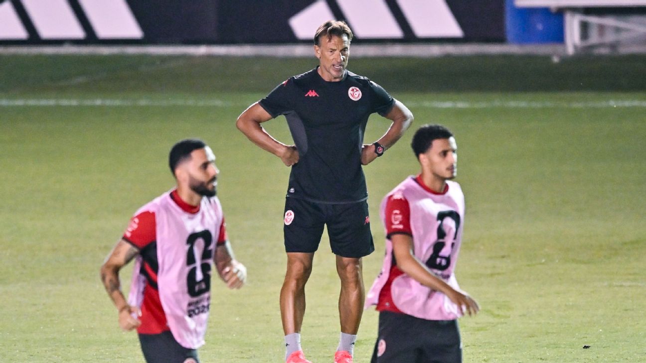 All Herve Renard has to do with Tunisia is 'stop the bleeding ...