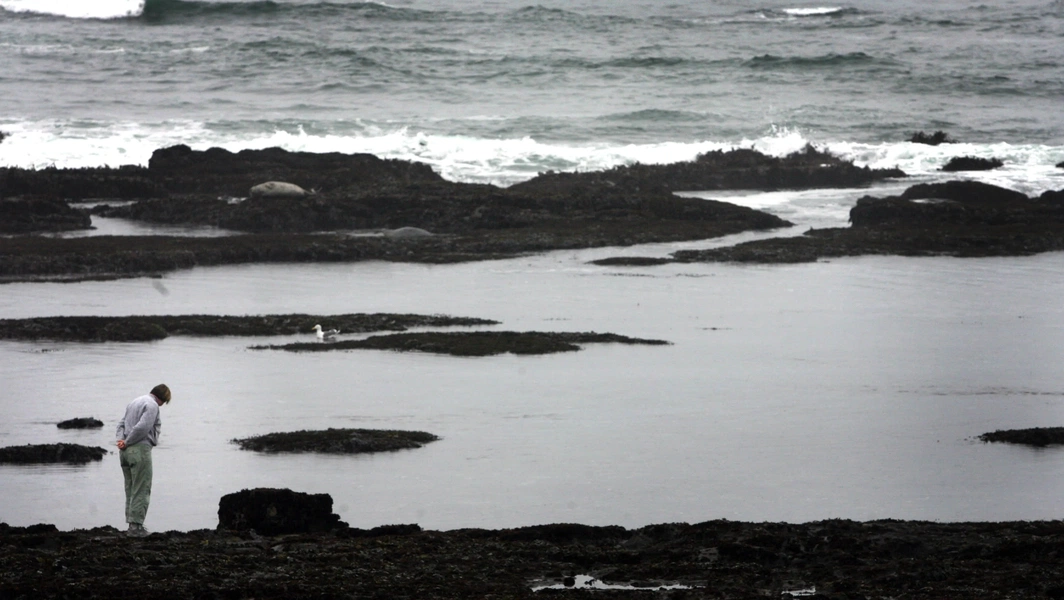 Exploring Half Moon Bay’s tide pools and waves