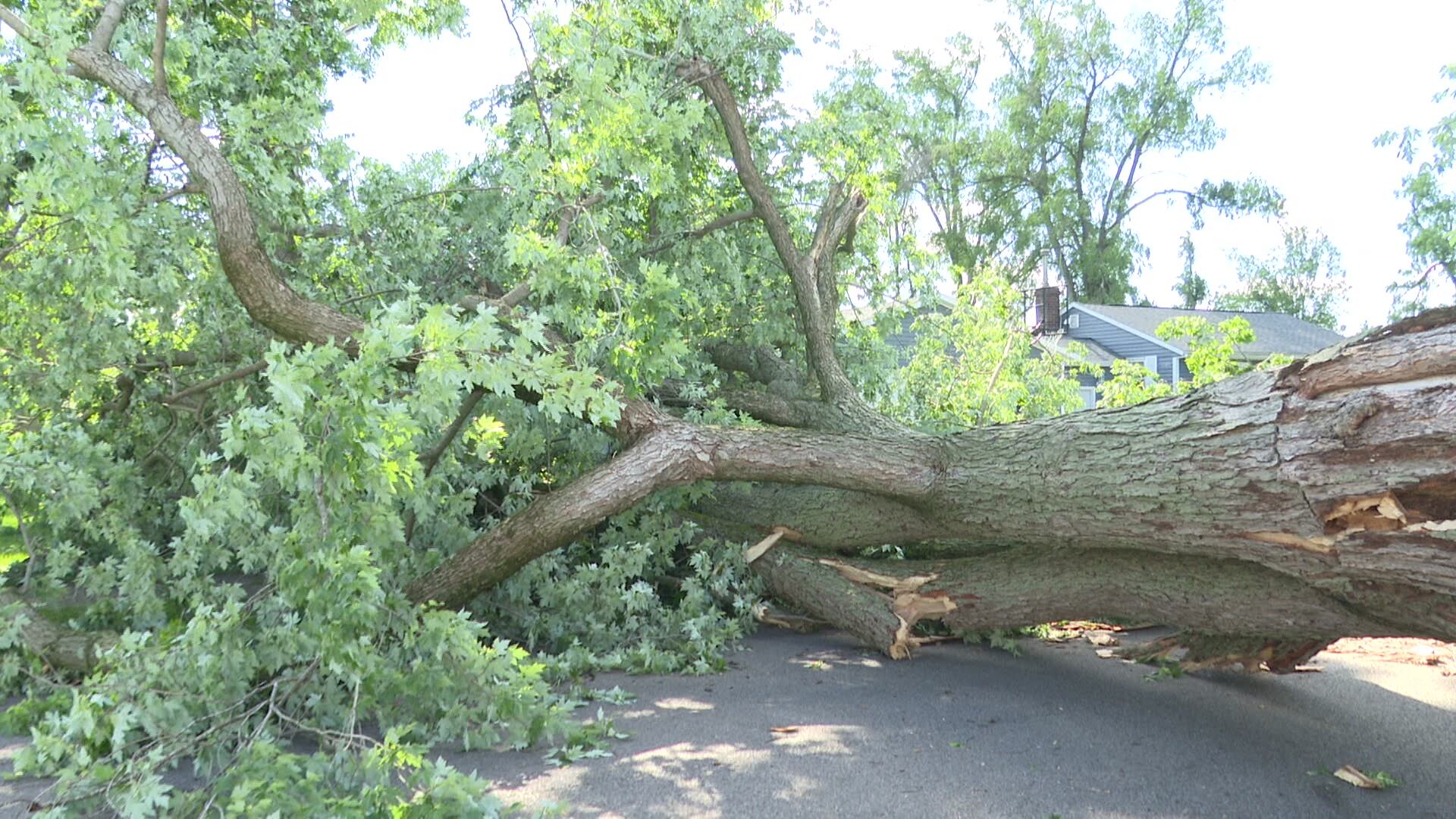 Governor issues disaster declaration ahead of severe weather