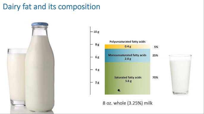 Dairy or plant-based: which type of milk provides the most health benefits?