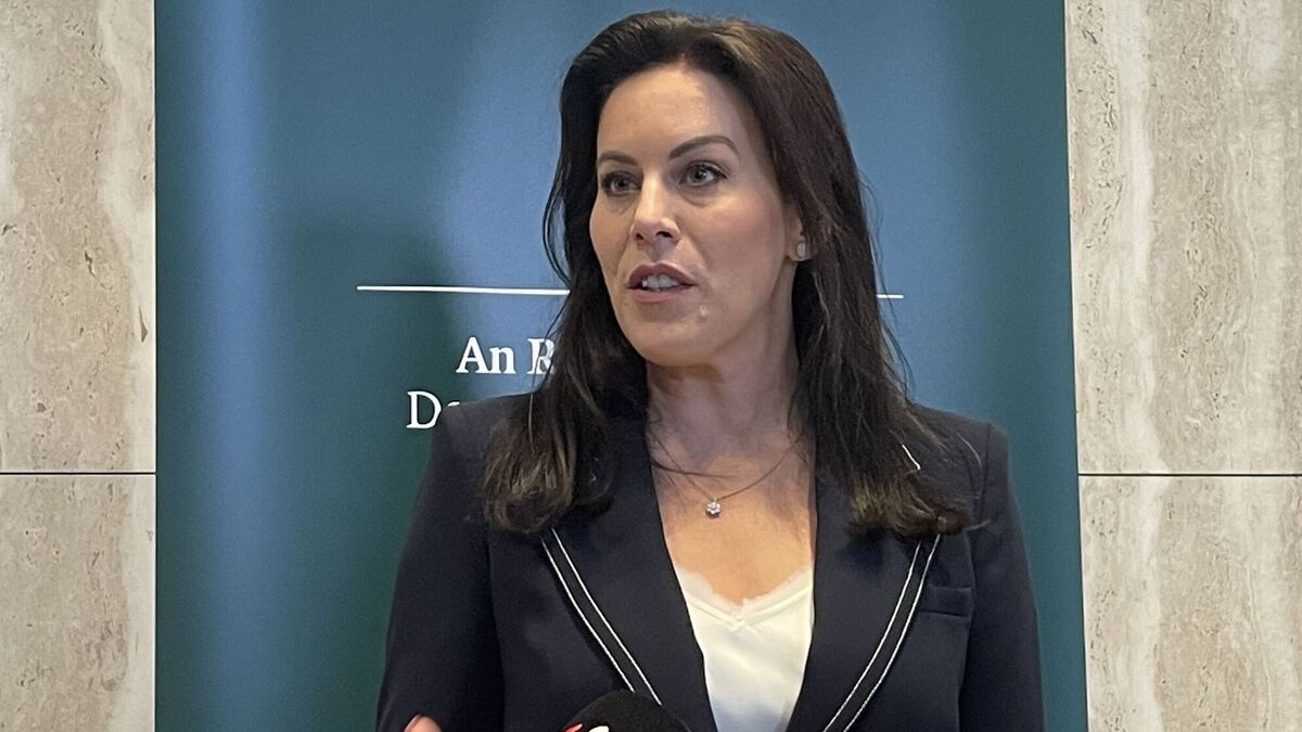 Health minister 'driven demented' by HSE spending of nearly €1bn on ...