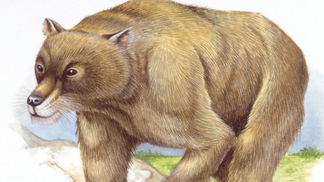 Giant prehistoric bears and their extinction