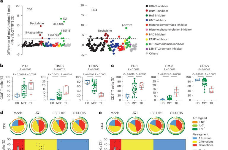 Rewired metabolism helps revive exhausted immune cells and boost cancer ...