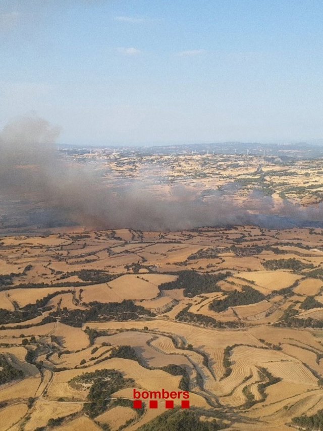 Un incendio de vegetación agrícola en Talavera (Lleida) obliga a ...