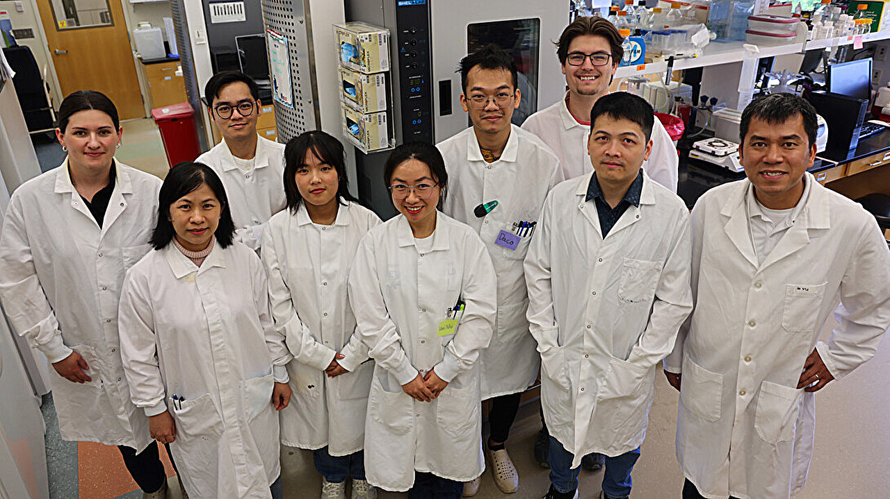 New swine influenza vaccination technique can greatly strengthen ...