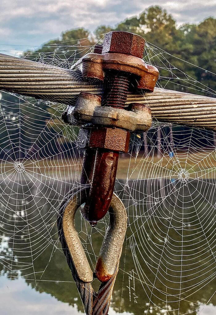 50 stunningly shot photos that find pure art in the most basic things