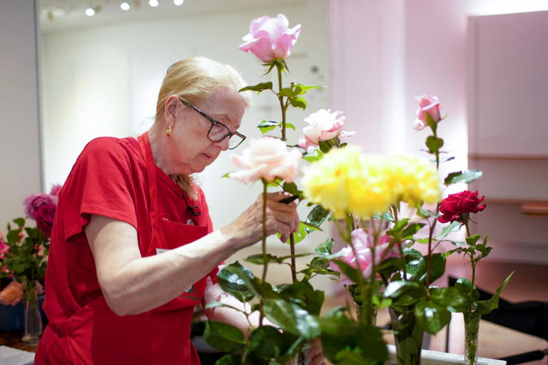 Here are the winning blooms from the Portland Spring Rose Show
