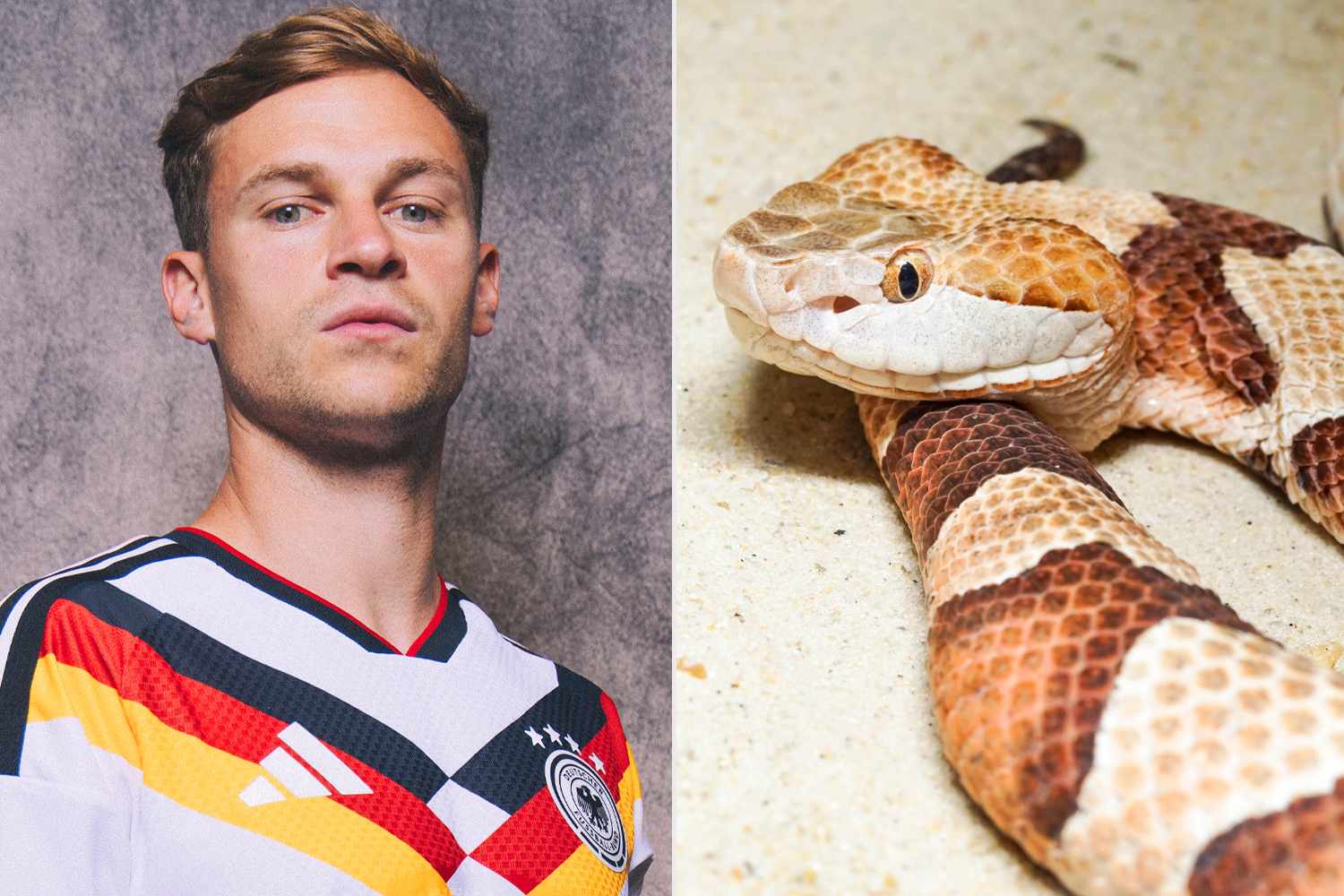 Concerned World Cup players 'looking at the ground before every step ...