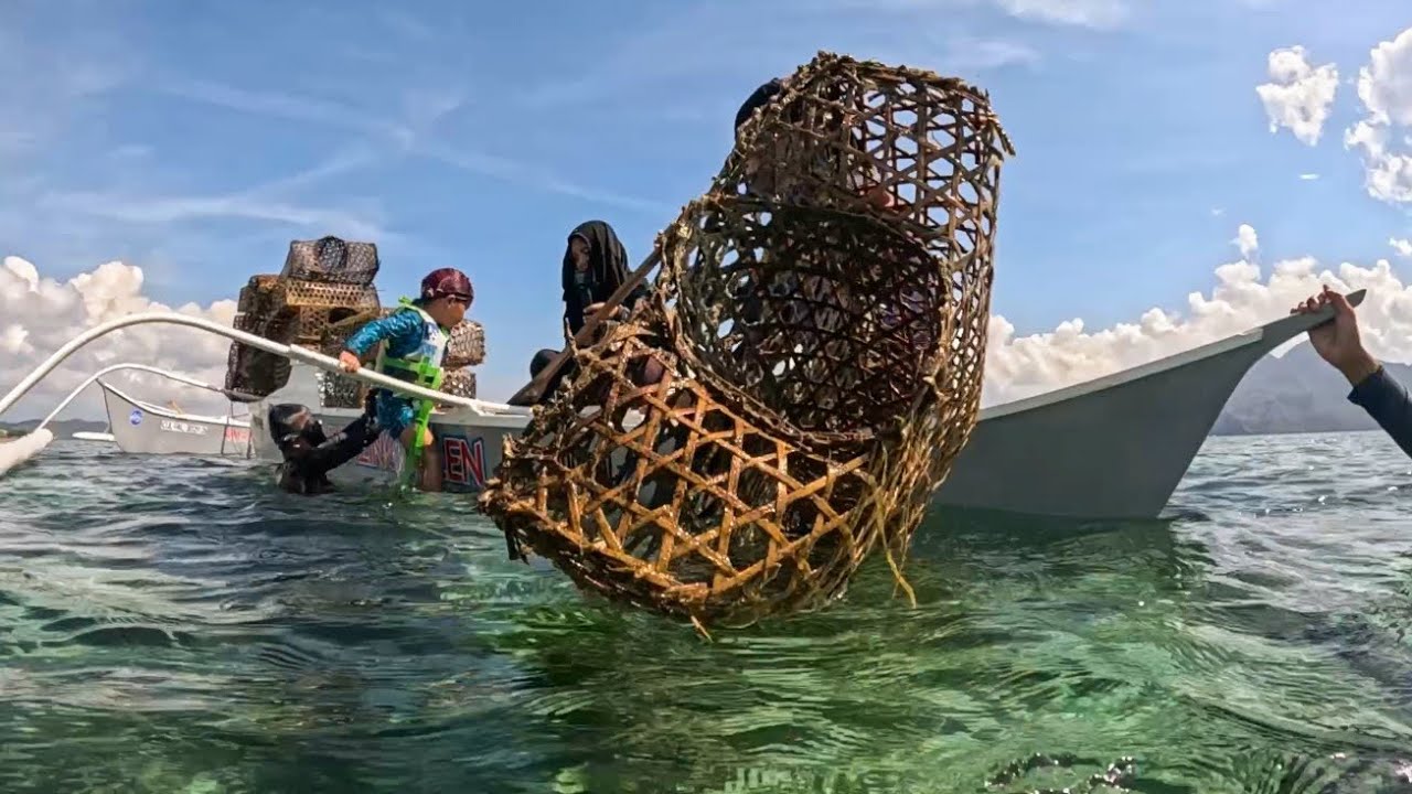 What they're doing to our traps has to stop! 🚨