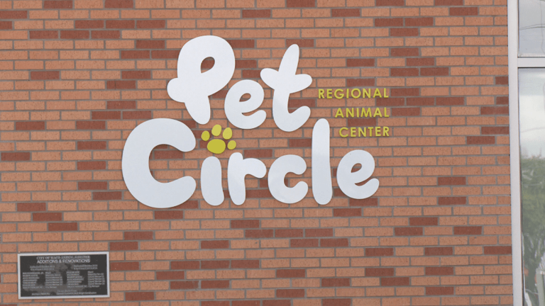 Pet Circle looking for more volunteers as summer comes around